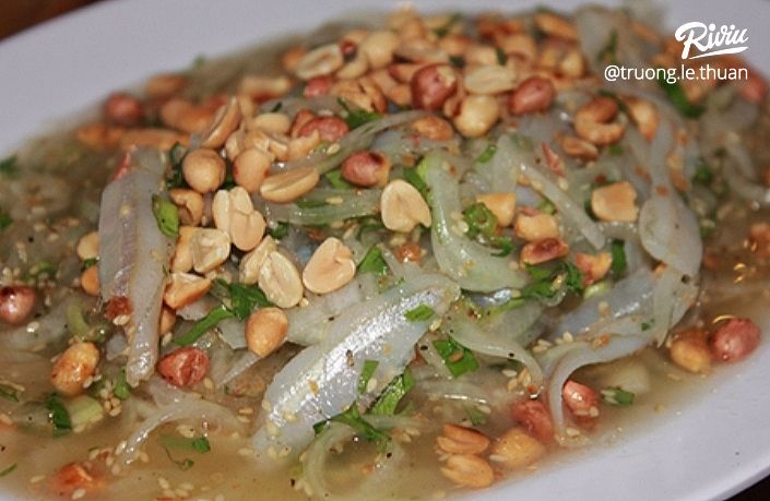 GỎI CÁ MAI | riviu.vn
