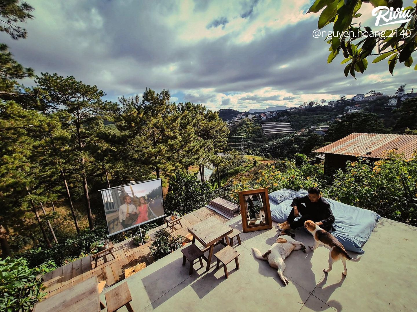 Cineforest Đường Hoàng Hoa Thám, p10, Đà Lạt ( bên trong cà phê chị chị ...