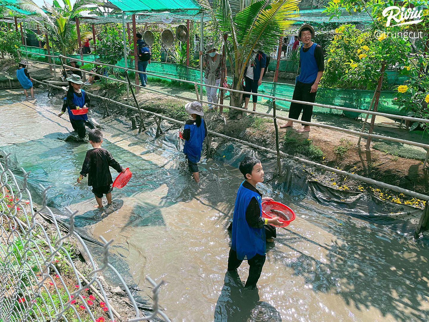 Dragon Farm - Nông Trại Rồng 873 Long Phước, Khu Phố, Quận 9, Thành phố ...