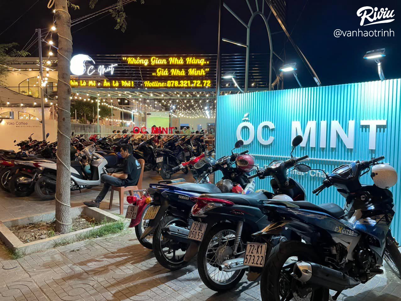 Ốc Mint | riviu.vn